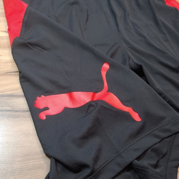 Puma | Shorts | Puma Shorts Dry Cell Mens Brand New | Poshmark